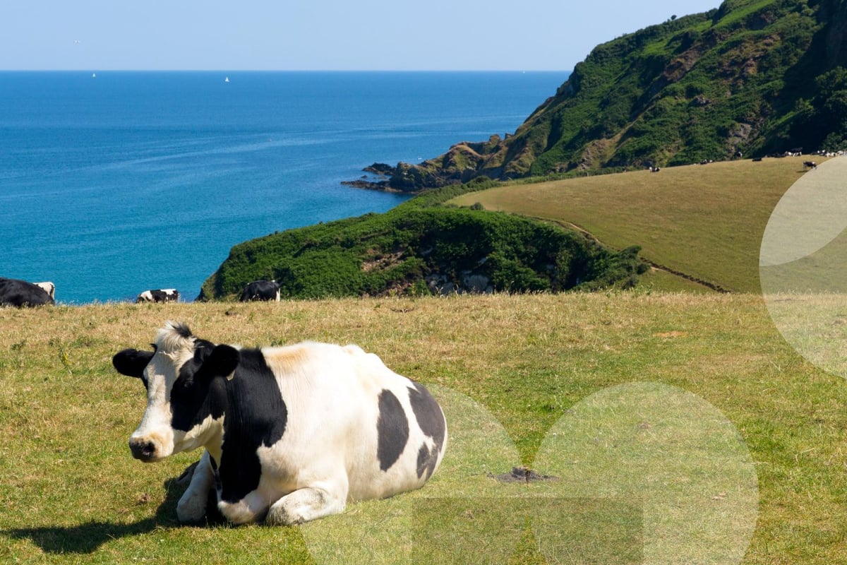 Cornwall Connects: Building networks and driving growth | Branch News | IoD